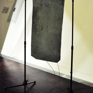 Musical Instrument Classification (based on the Sachs-Hornbostel System)